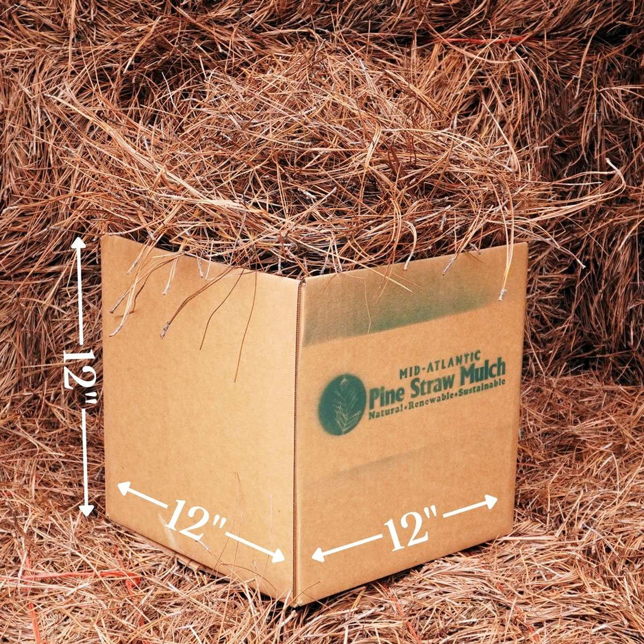 Longleaf Pine Straw Mulch - Premium, Organic Garden Mulch Delivery ...