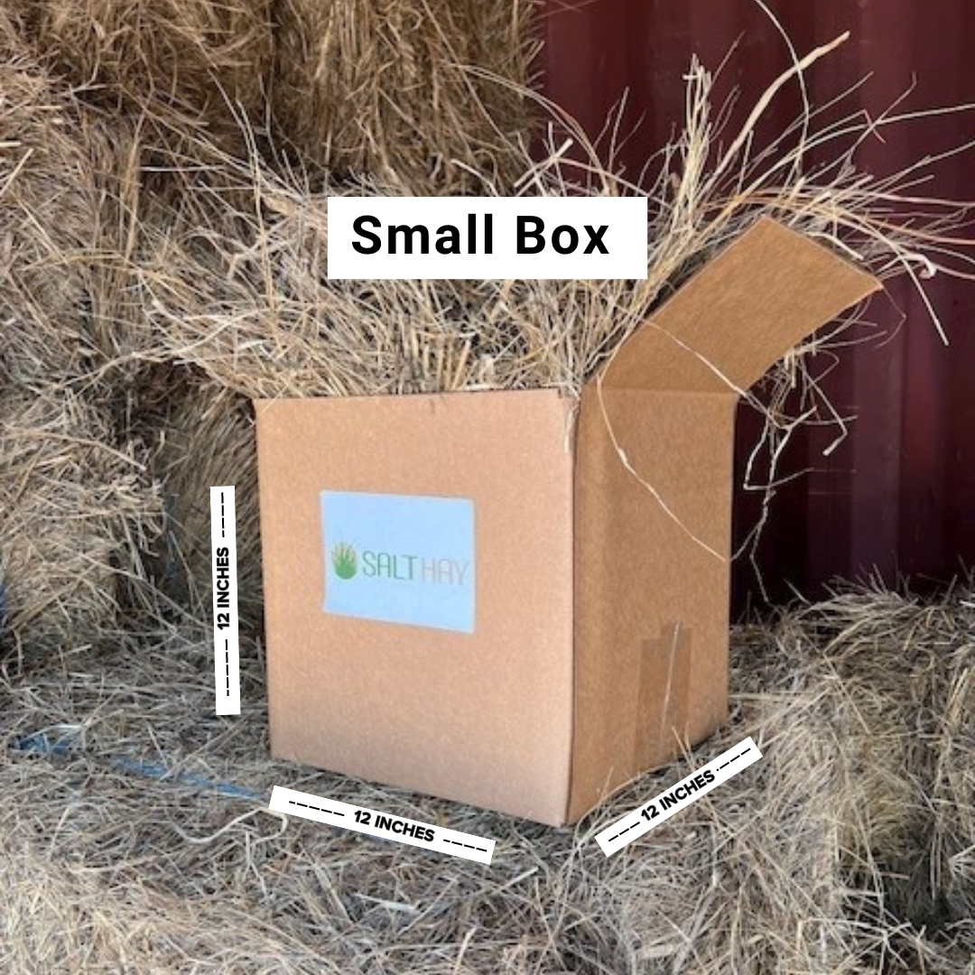 Salt Hay (12"x12"x12") Small Box – SaltHay.com